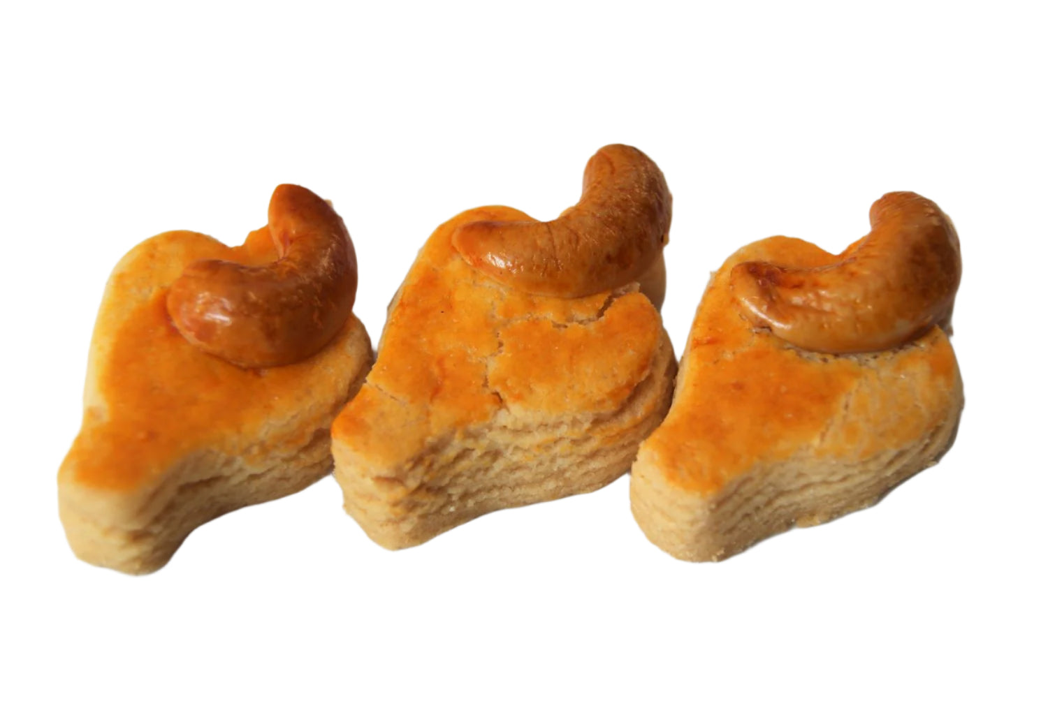 Biskut Gajus – delimaslina